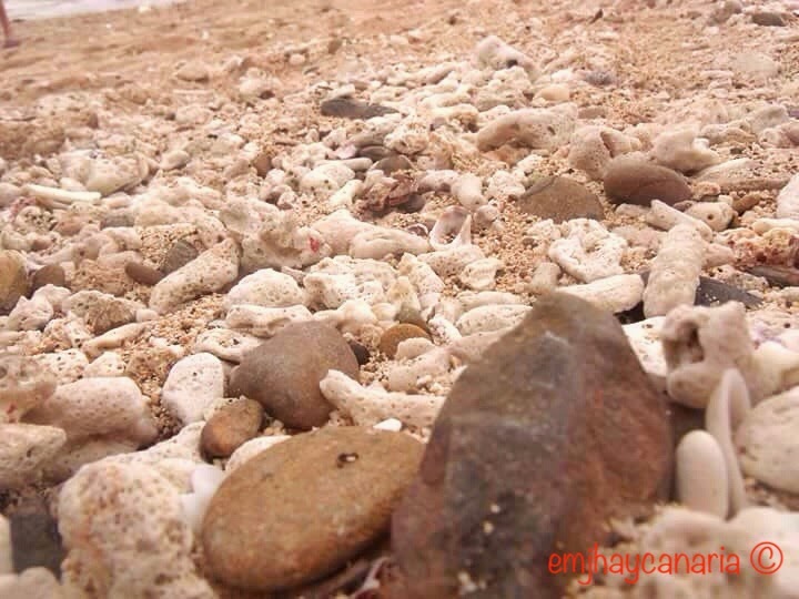 Titowew & Limelight: DIGUISIT BEACH & ROCK FORMATION - BALER AURORA